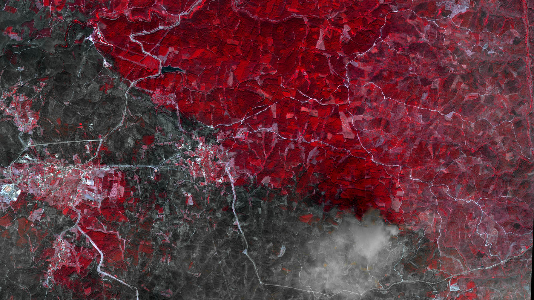Portugal Wildfires: Rapid Delivery Of Satellite Imagery In Emergency ...