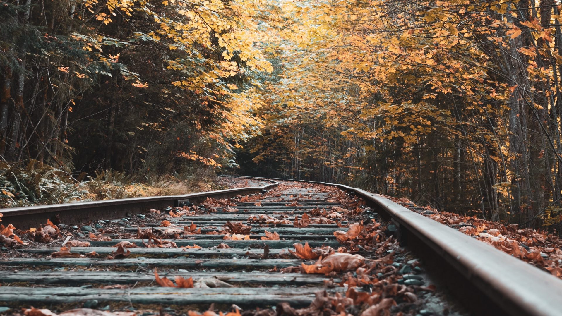 Satellite Imagery For Railway Vegetation Management | European Space ...