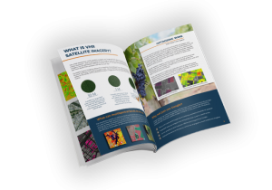 Incite | European Space Imaging