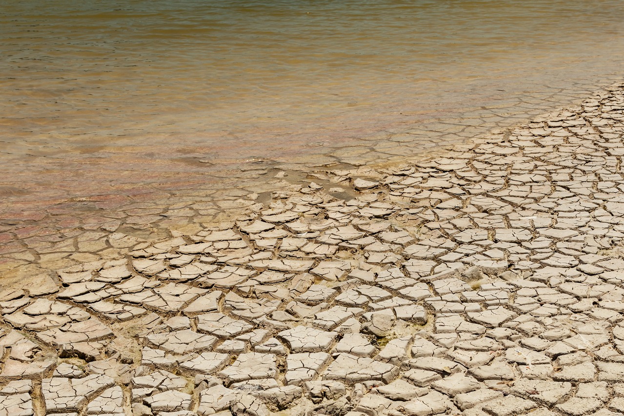 Rivers And Lakes Are Drying As Europe Faces Worst Drought In 500 Years ...