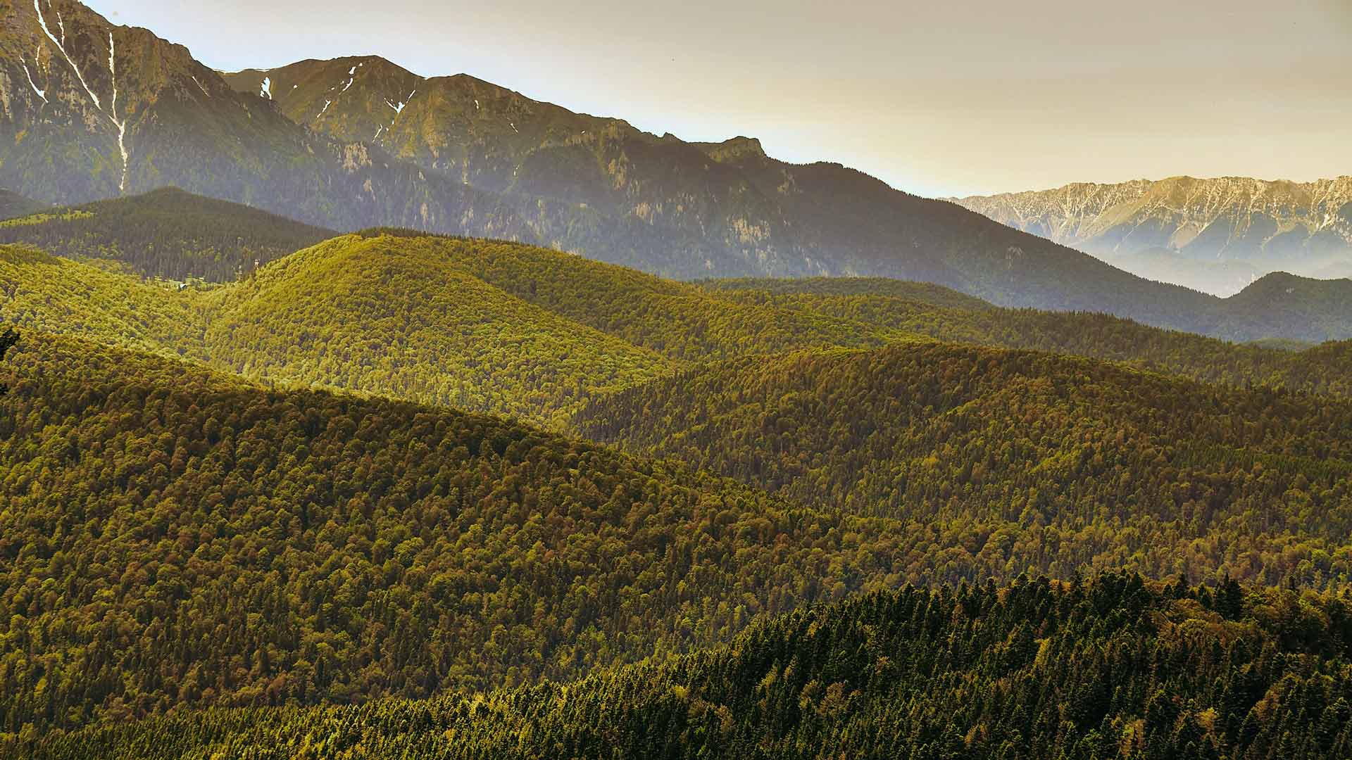 Habitat Preservation Using Satellite Imagery | European Space Imaging